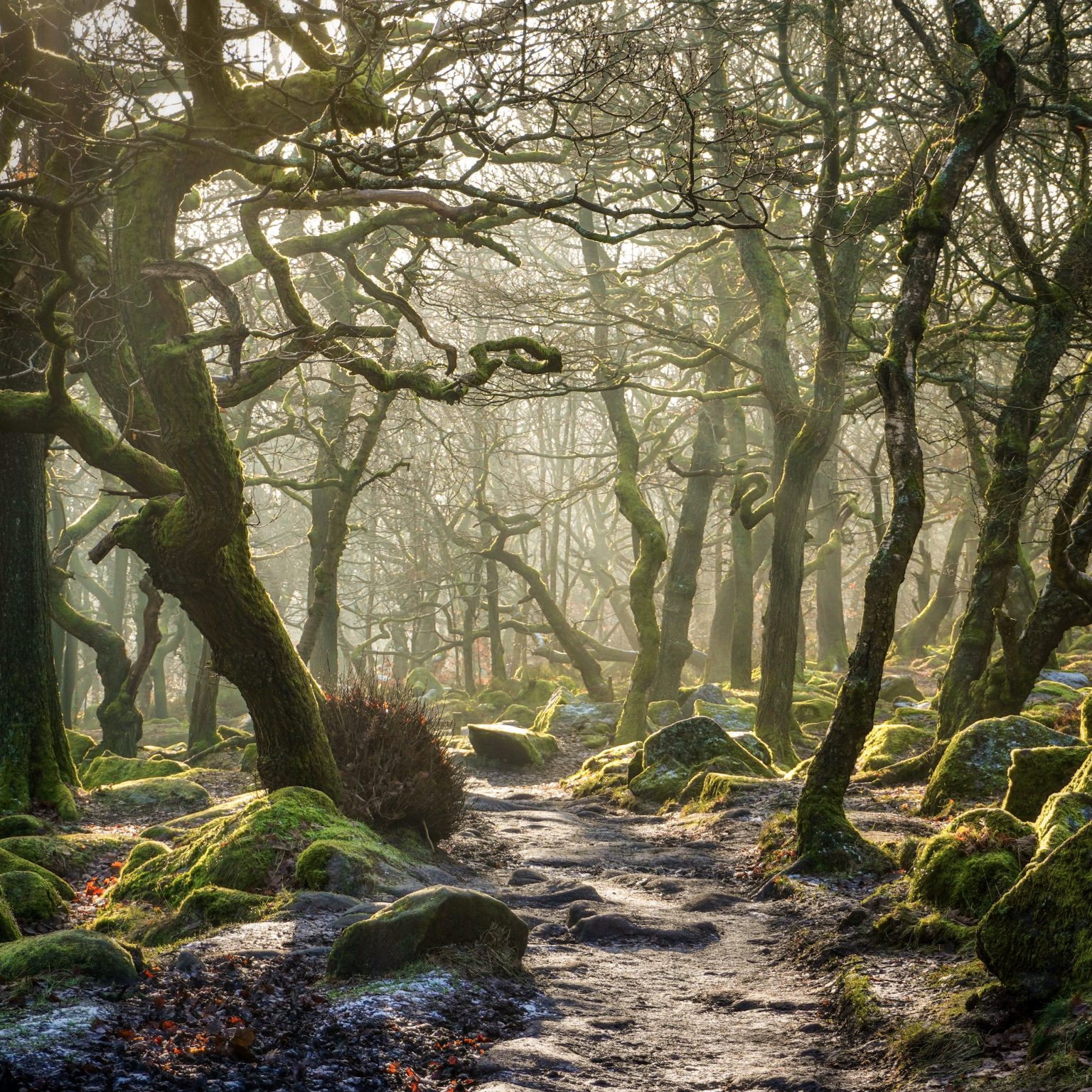 Peaklass Greeting Cards – Peaklass | Peak District Photography
