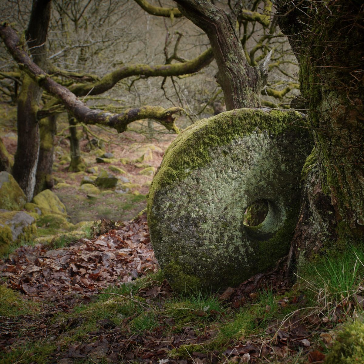 Peak District Millstones – Peaklass | Peak District Photography